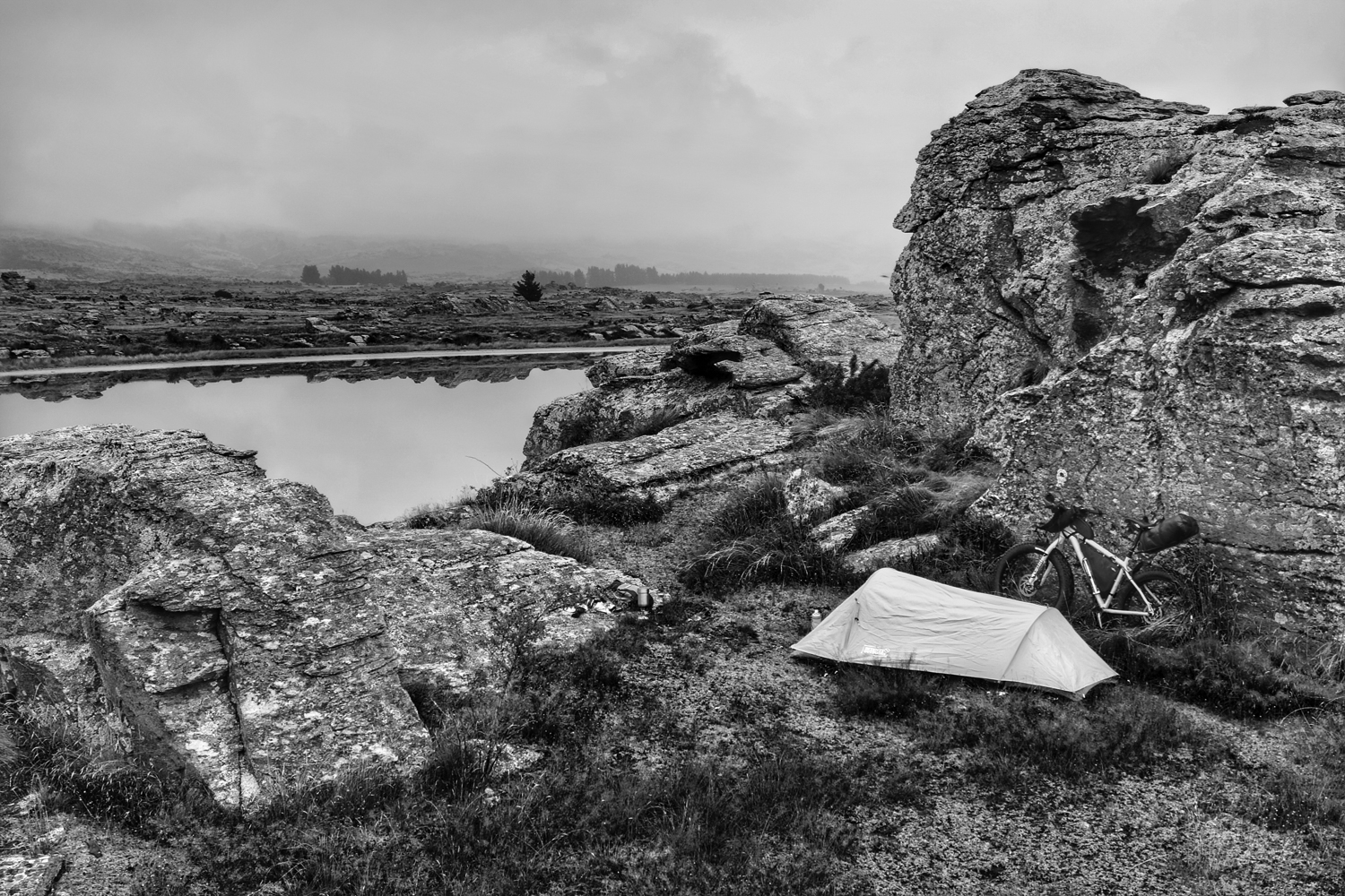 Wallpaper Wednesday - Good Morning New Zealand