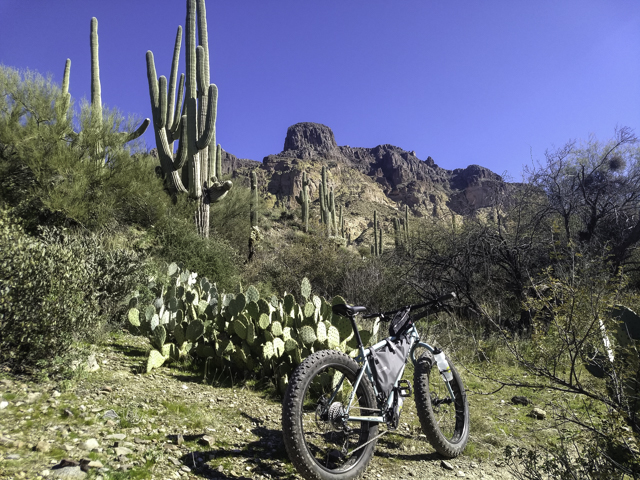 Wallpaper Wednesday - Gnome Sane?